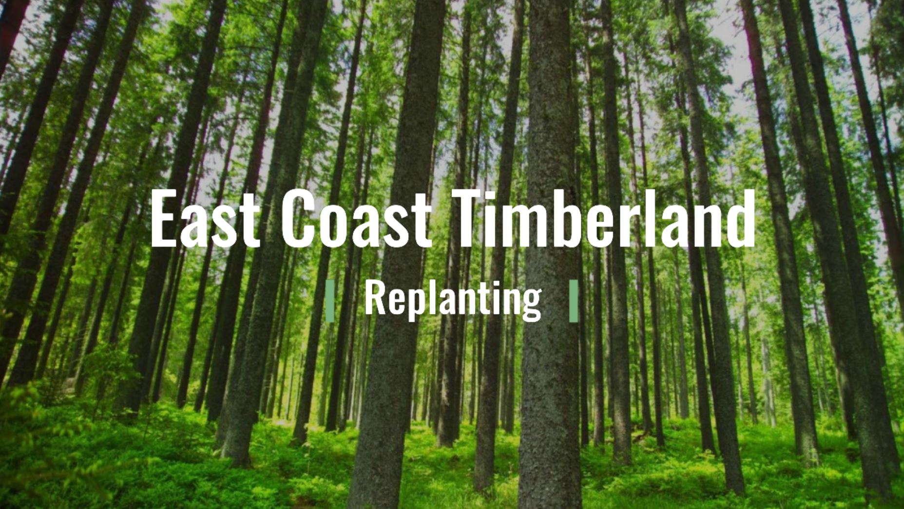 Timber Videos | East Coast Timberland